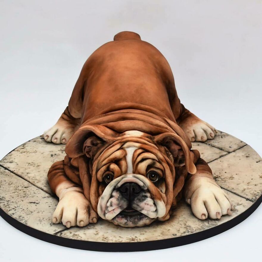 Sculpted Cakes Gallery - Emma Jayne Cake Design
